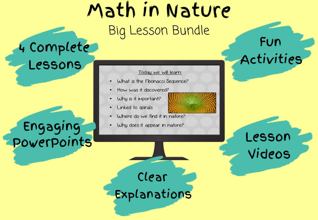 MATHEMATICS in NATURE LESSON Bundle - 4 Complete Lessons on Fractals ...