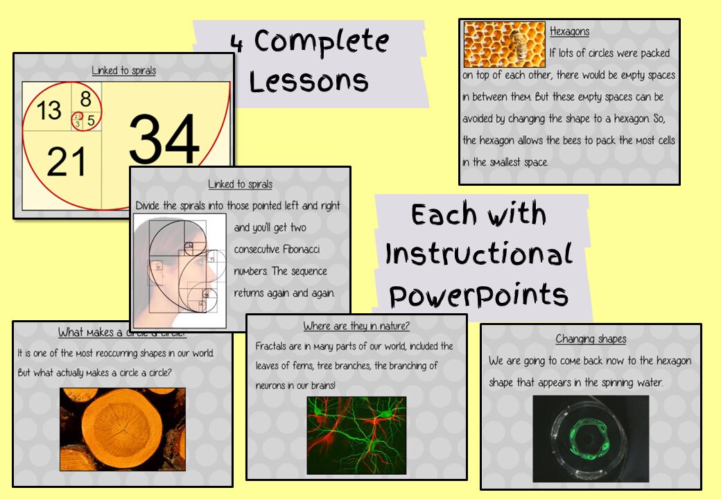 MATHEMATICS in NATURE LESSON Bundle 4 Complete Lessons on Fractals ...