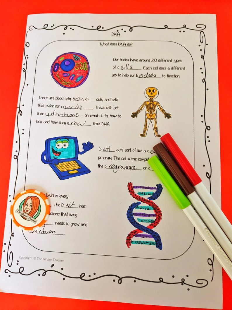 DNA SCIENCE LESSON Classroom Materials for Teachers or Home School ...