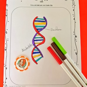 DNA SCIENCE LESSON Classroom Materials for Teachers or Home School ...