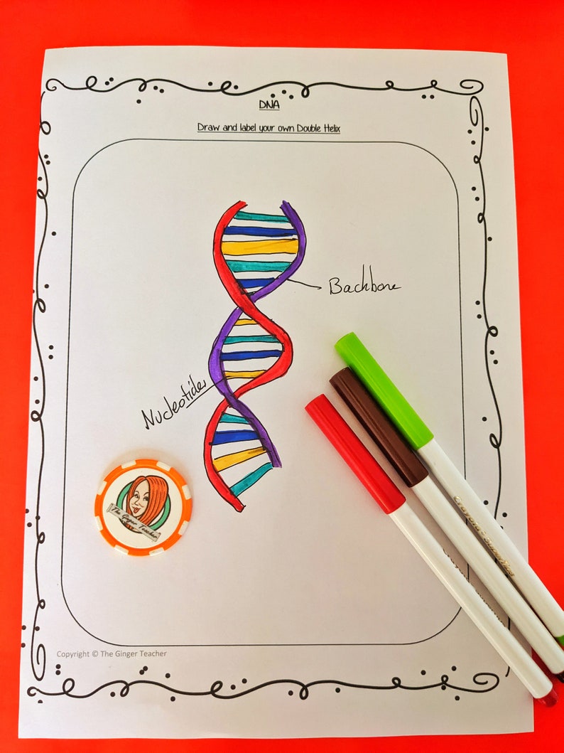 DNA SCIENCE LESSON Classroom Materials for Teachers or Home School ...