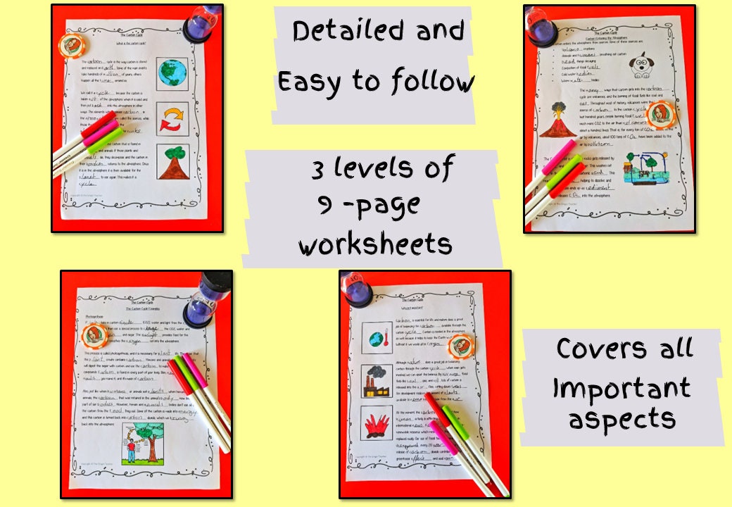 The Carbon Cycle Science Lesson Teaching Resources Home School Teacher ...