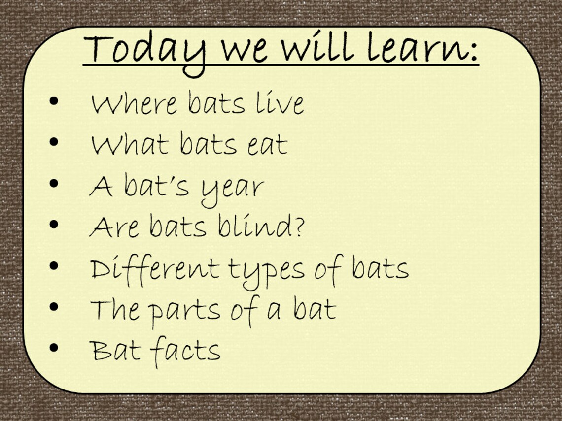 BATS LESSON Powerpoint and Worksheets Classroom Teaching Resources ...