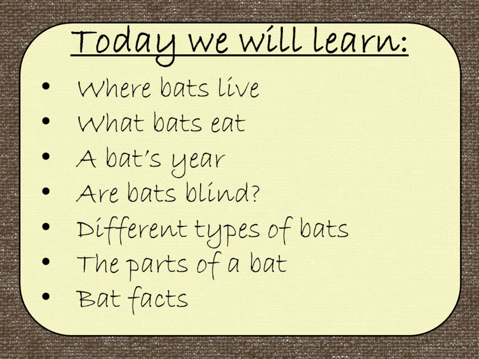 BATS LESSON Powerpoint and Worksheets Classroom Teaching Resources ...