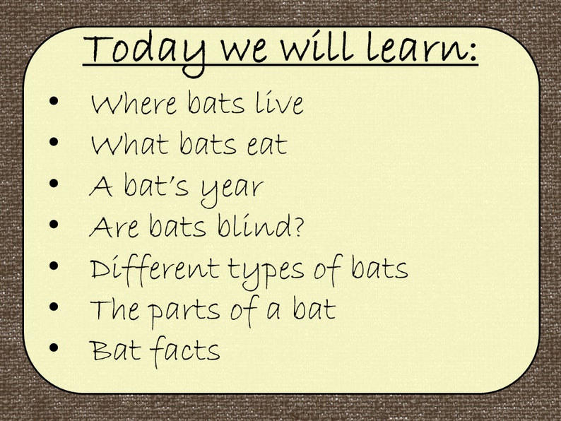 BATS LESSON Powerpoint and Worksheets Classroom Teaching Resources ...