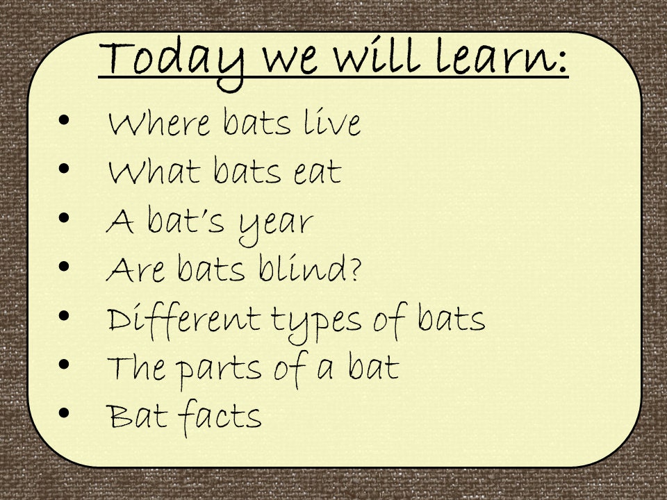 BATS LESSON Powerpoint and Worksheets Classroom Teaching Resources ...