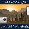 BATS LESSON Powerpoint and Worksheets Classroom Teaching Resources ...
