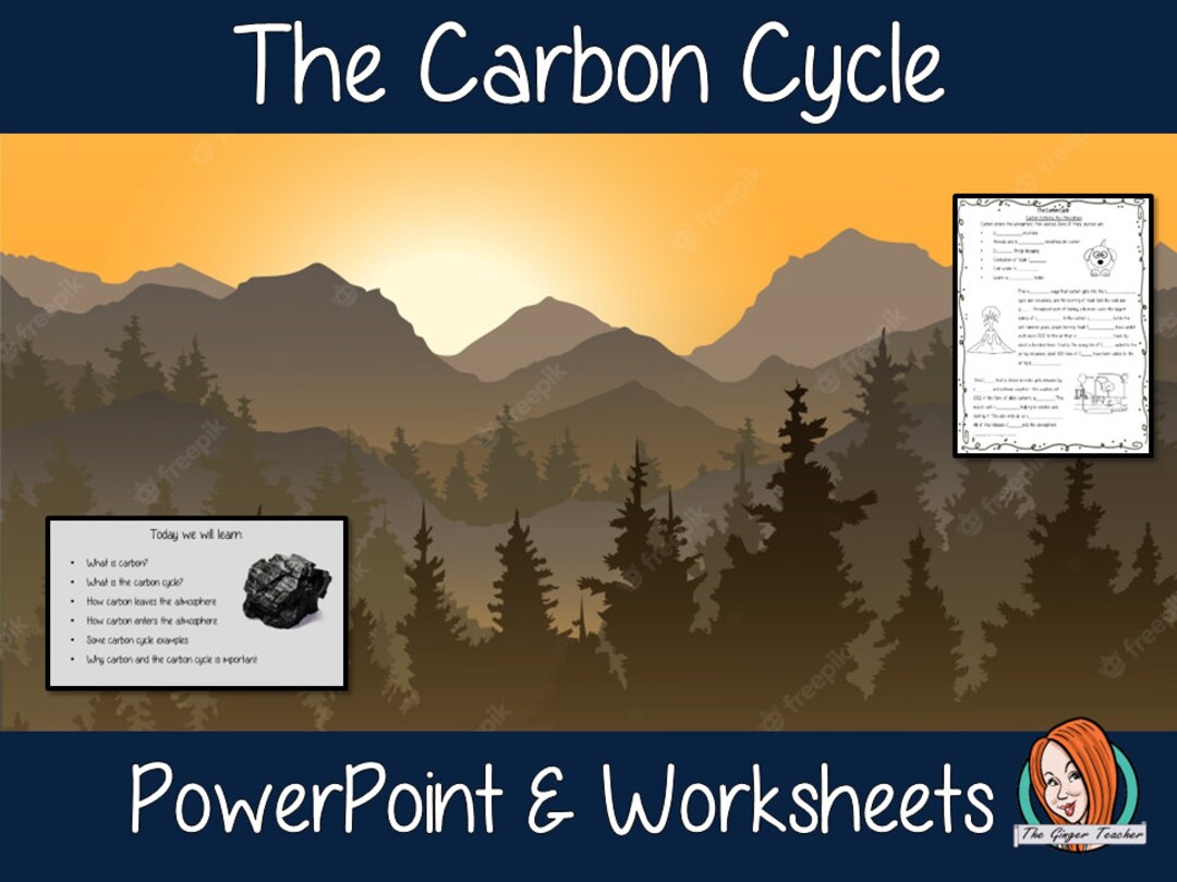 The Carbon Cycle Science Lesson Teaching Resources Home School Teacher ...