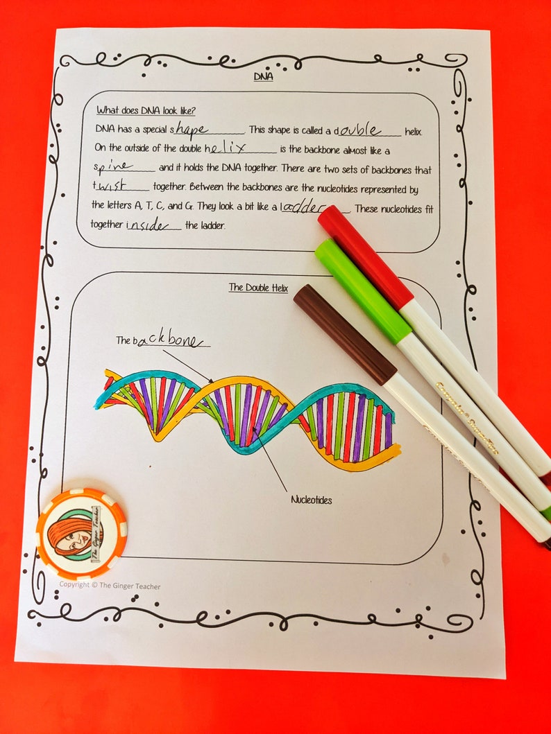 DNA SCIENCE LESSON Classroom Materials for Teachers or Home School ...