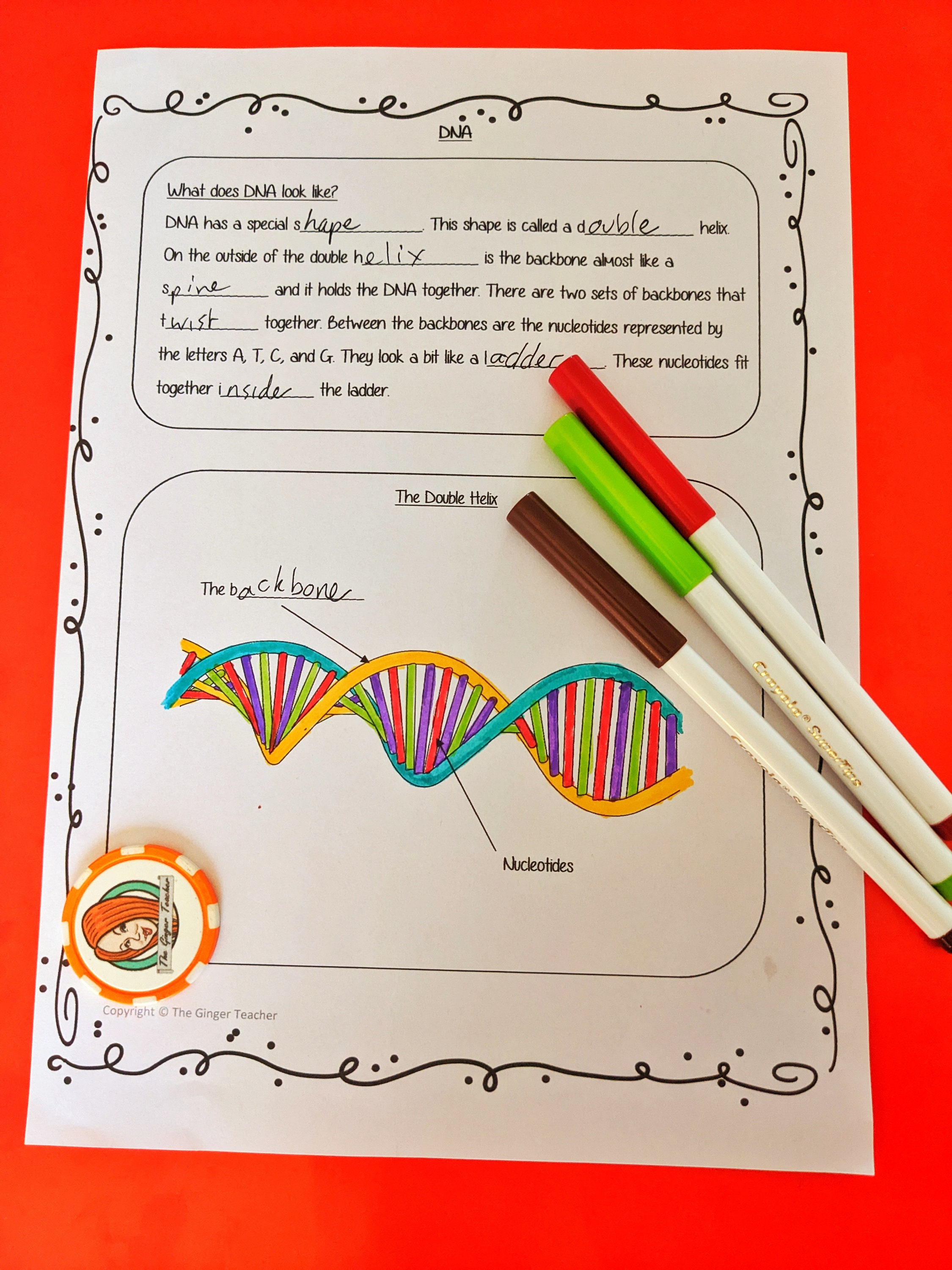 DNA SCIENCE LESSON Classroom Materials for Teachers or Home School ...