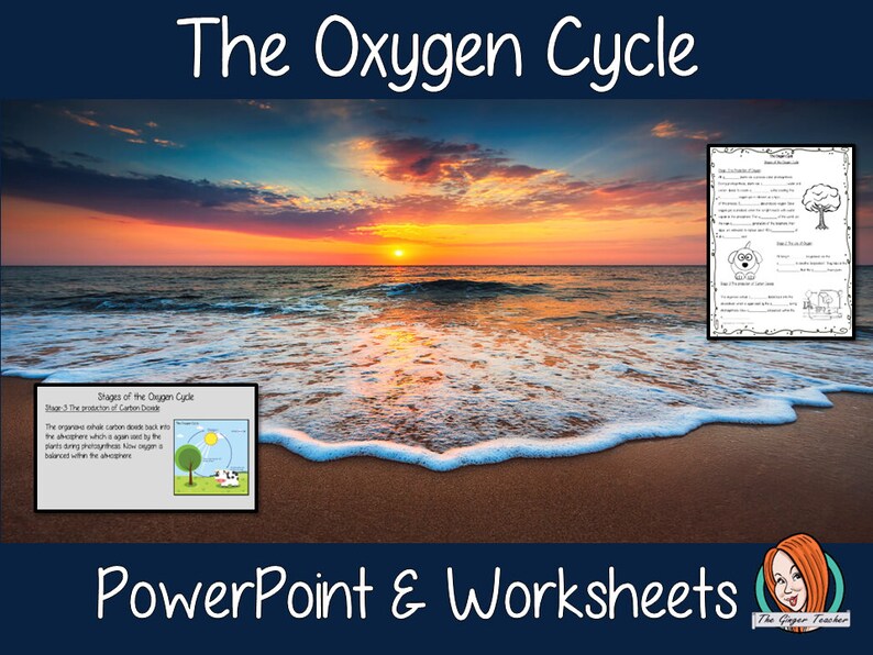 THE OXYGEN CYCLE Science Lesson. Complete Science Powerpoint and ...