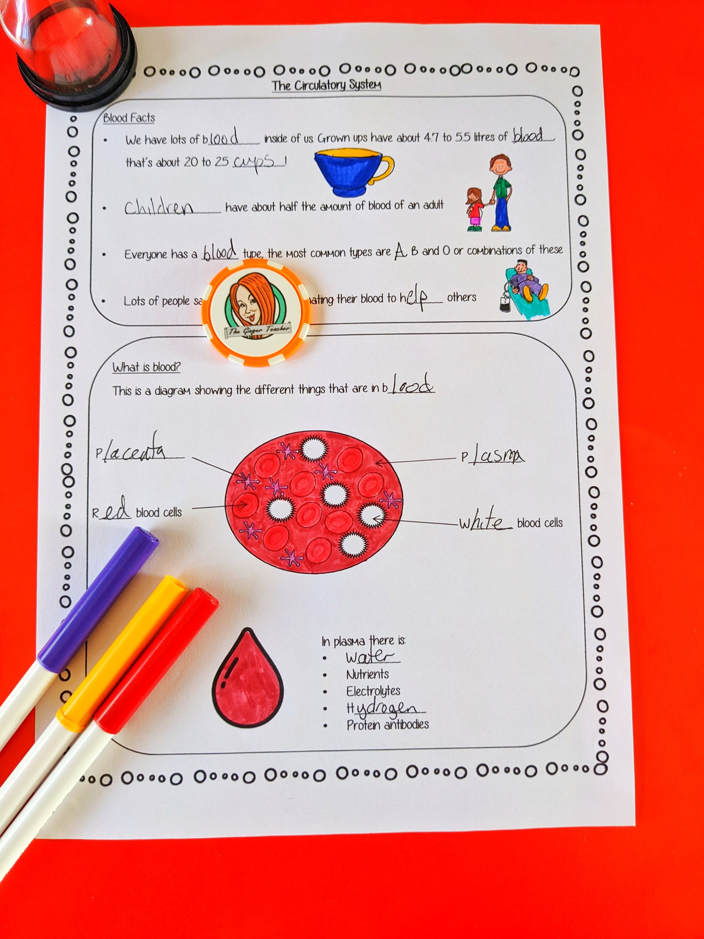 Blood Lesson the Circulatory System Classroom Teaching Resources ...