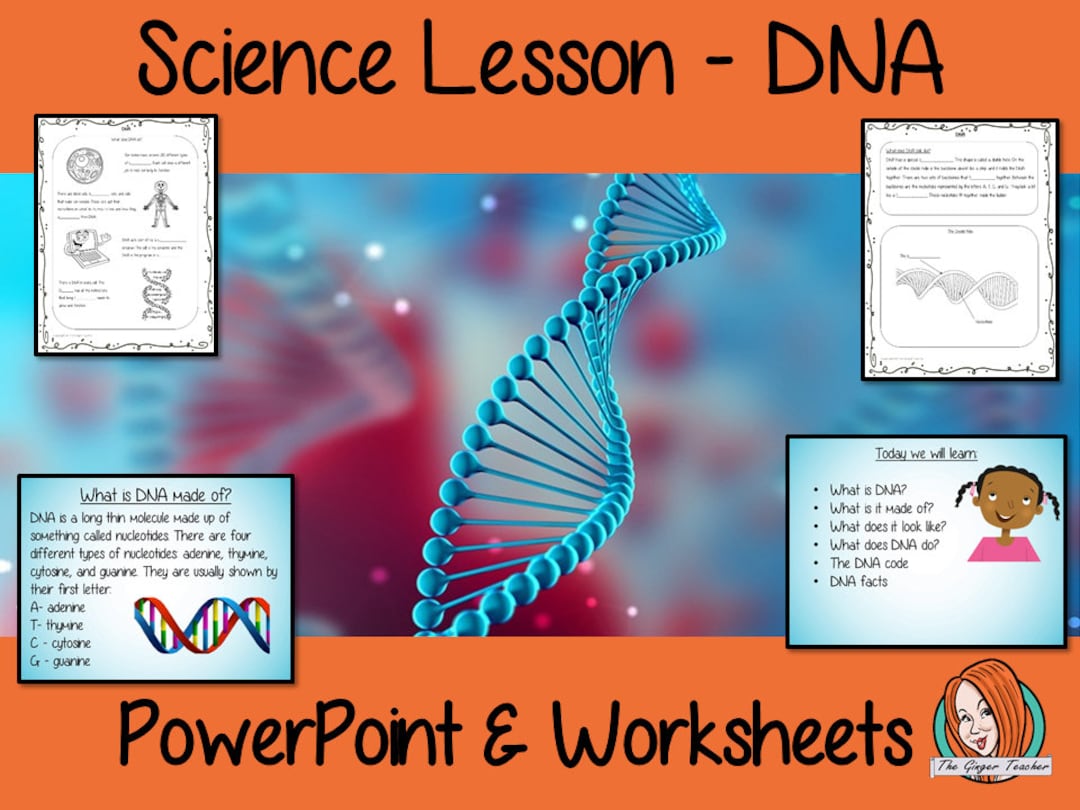 DNA SCIENCE LESSON Classroom Materials for Teachers or Home School ...