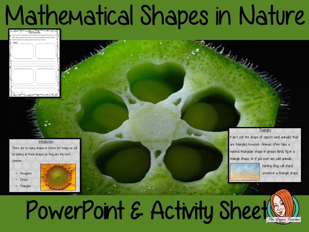 Mathematical Shapes in Nature Classroom Teaching Resources for Math ...