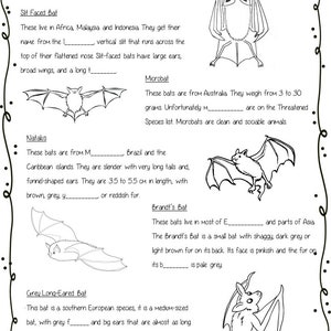 BATS LESSON Powerpoint and Worksheets Classroom Teaching Resources ...