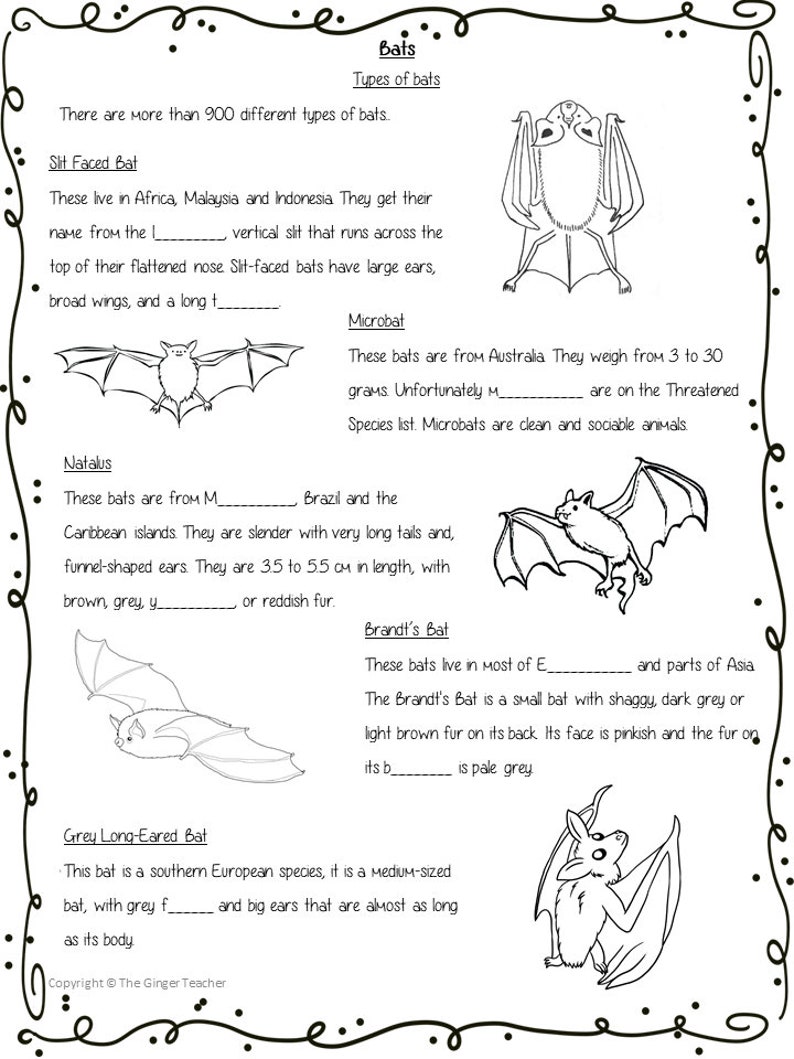 BATS LESSON Powerpoint and Worksheets Classroom Teaching Resources ...
