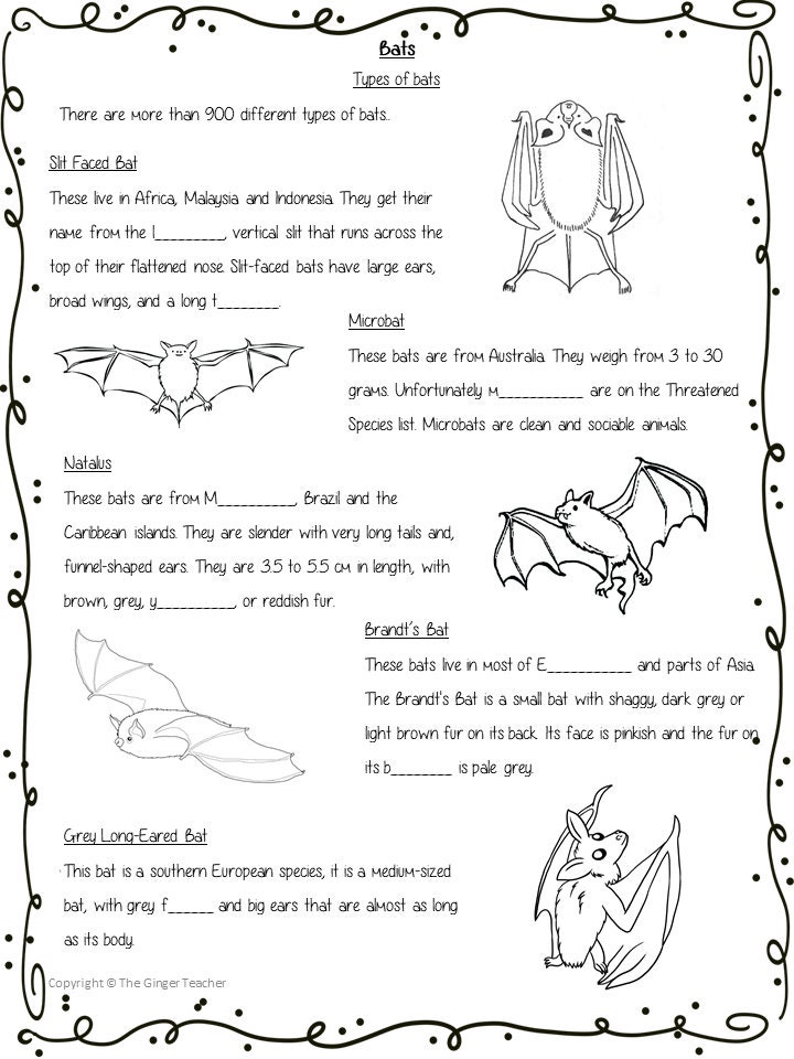 BATS LESSON Powerpoint and Worksheets Classroom Teaching Resources ...