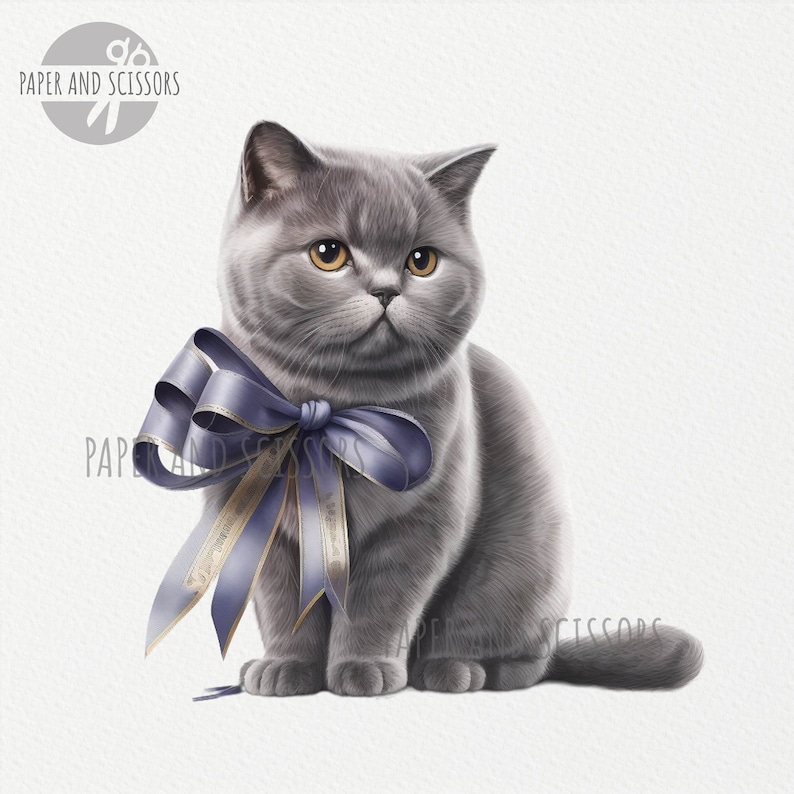 British Shorthair Cat Clipart Cat PNG Cat Illustration Cat - Etsy