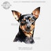 Pinscher Clipart, Pinscher PNG, Pinscher Illustration, Dog Clipart ...