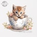 Kittens in Cups Clipart, Kittens PNG, Kittens Illustration, Cat Clipart ...