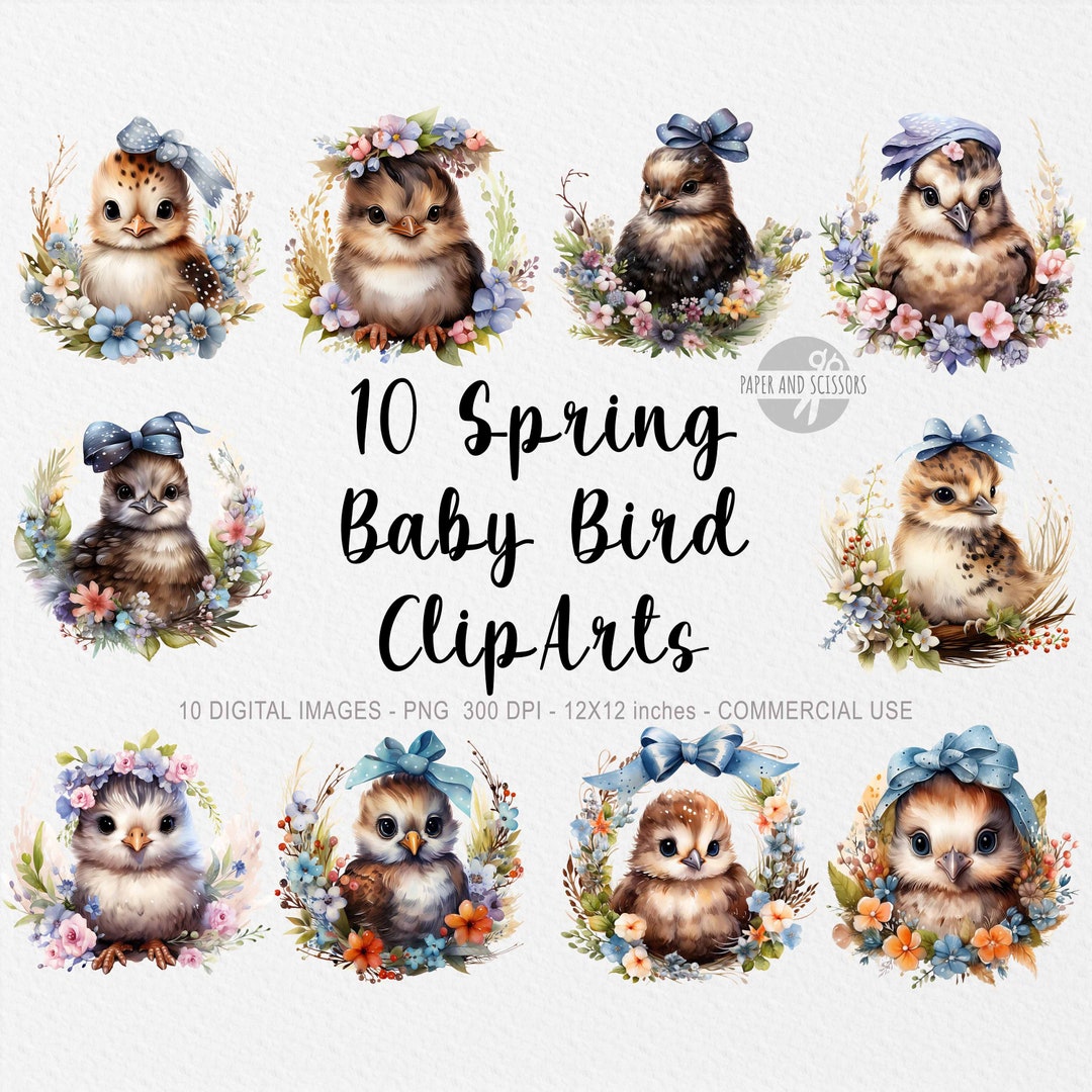 10 Spring Birds Cliparts, Little Bird PNG, Springtime Bird Images ...