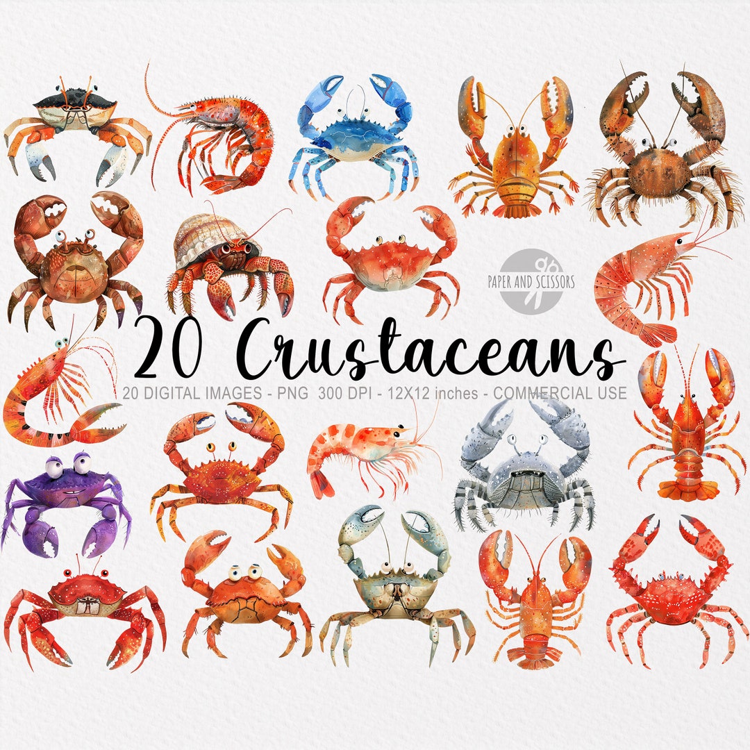 20 Crustaceans Cliparts, Undersea Animals Watercolor PNG, Baby Shower ...