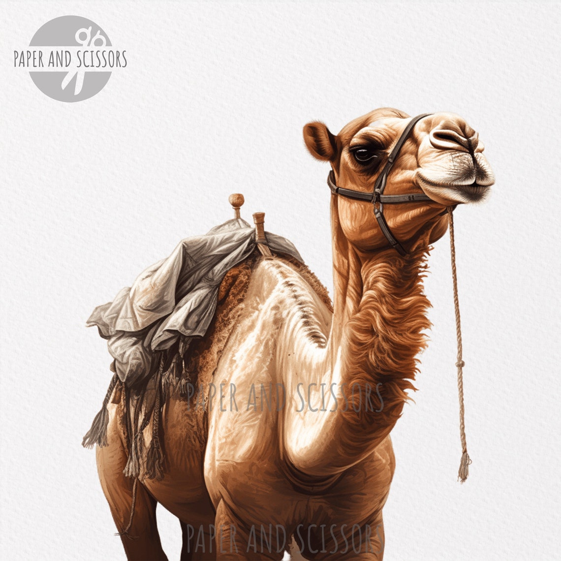 Desert Animals Clipart Desert Animals PNG Desert - Etsy