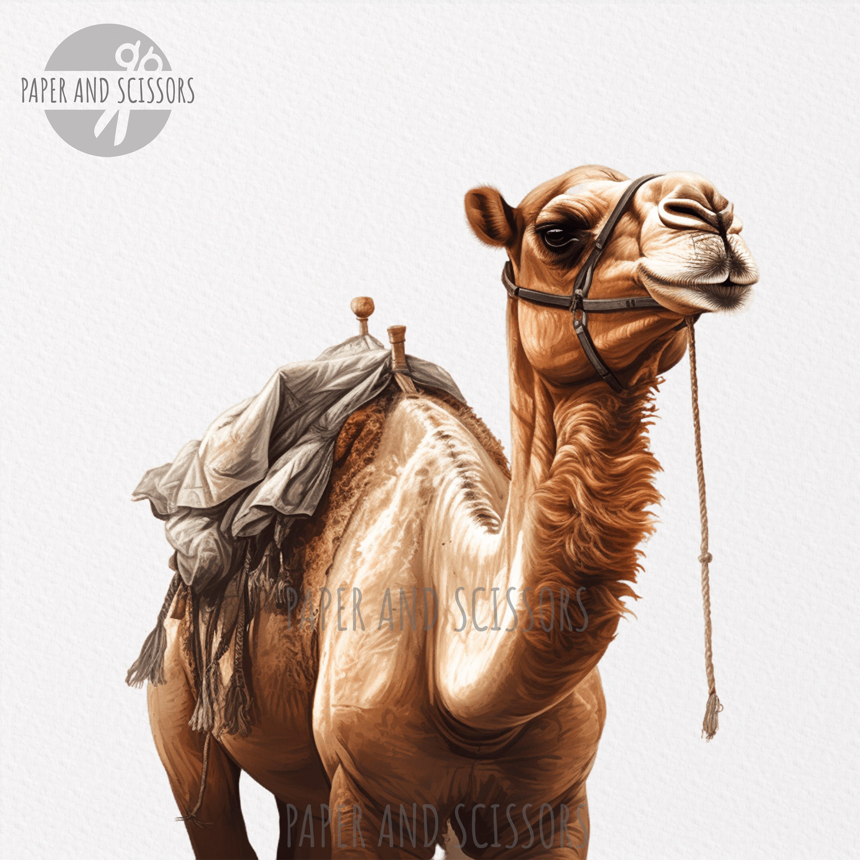 Desert Animals Clipart, Desert Animals PNG, Desert Illustration ...