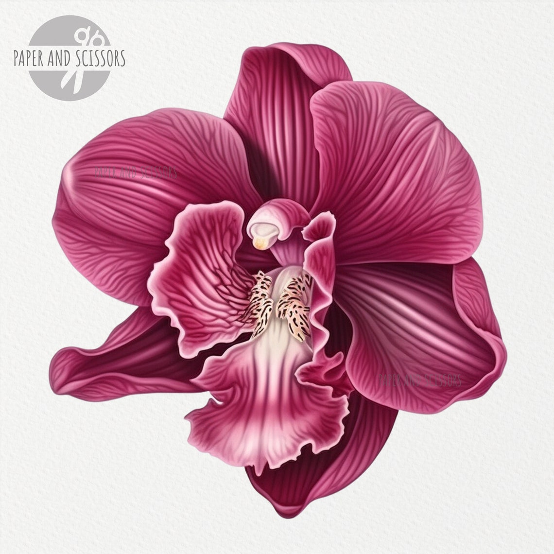 25 Orchid Clipart, Orchid PNG, Orchid Illustration, Watercolor Flowers ...