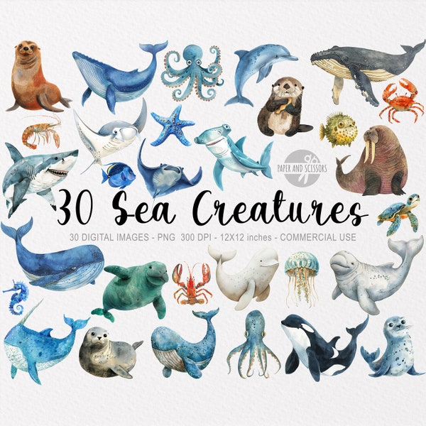 Sea Animals Clipart - Etsy