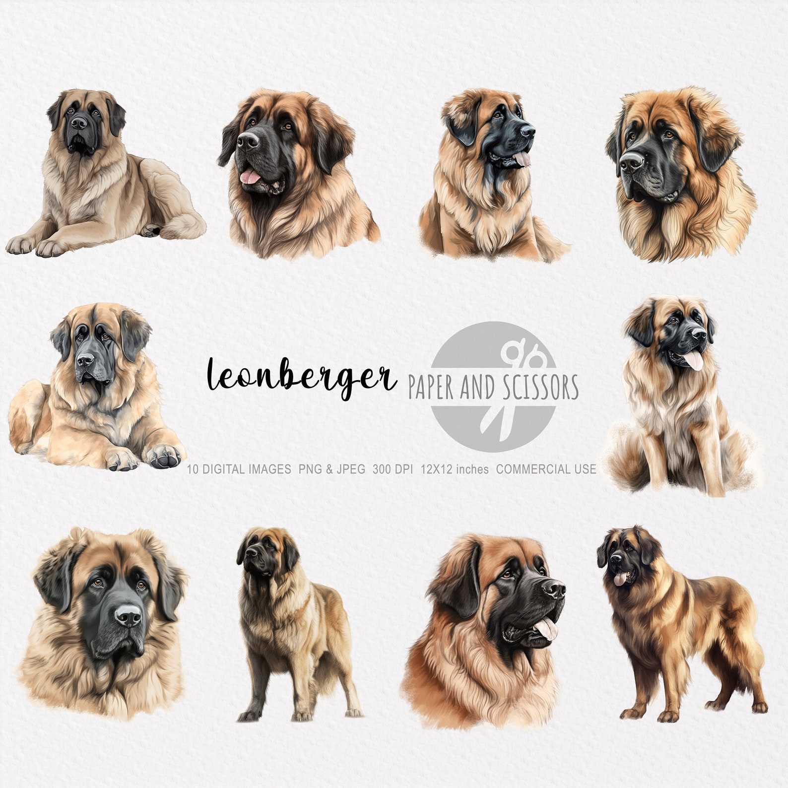 Leonberger Clipart, Leonberger PNG, Leonberger Illustration, Dog ...
