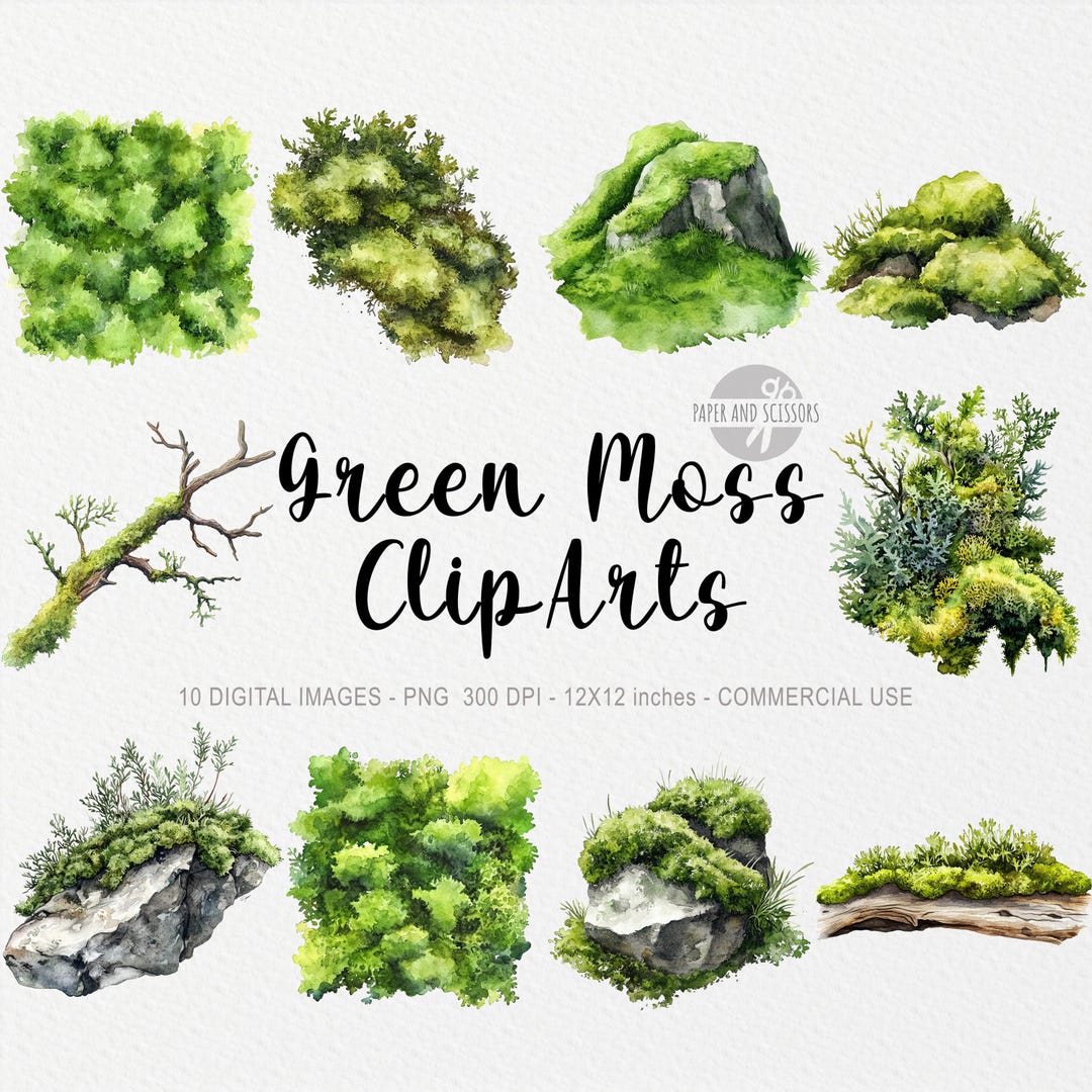 10 Moss Clipart, Flower PNG, Spring Illustration, Watercolor Boho Print ...