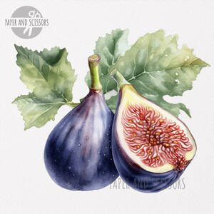 25 Watercolor Fruits Clipart, Fruit PNG, Fruit Illustration, Watercolor ...