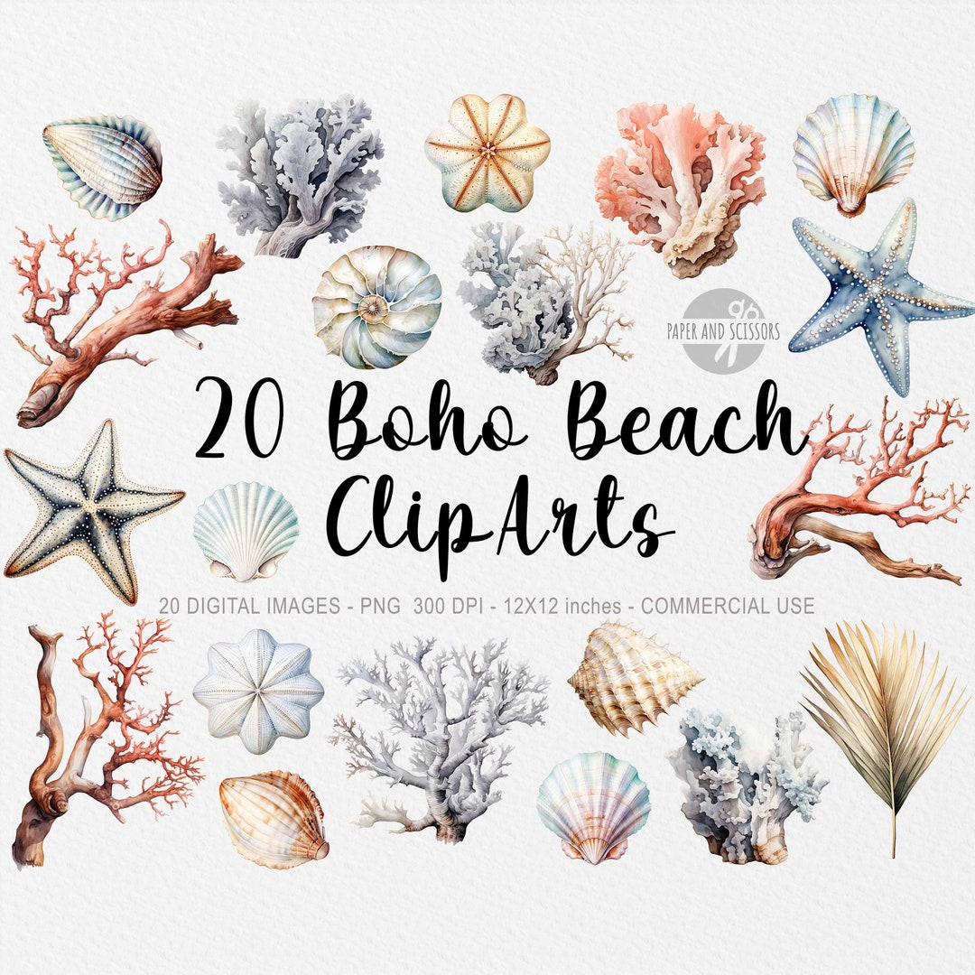 20 Boho Beach Cliparts, Seashell PNG, Beach Illustration, Watercolor ...