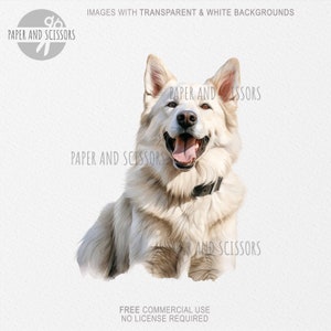 White Swiss Shepherd Clipart, Shepherd PNG, Shepherd Illustration, Dog ...
