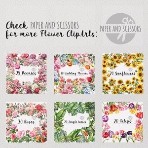 10 Insects Clipart, Insects PNG, Insects Illustration, Watercolor Bugs ...