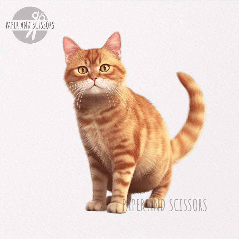 Ginger Cat Clipart Ginger Cat PNG Ginger Cat Illustration - Etsy