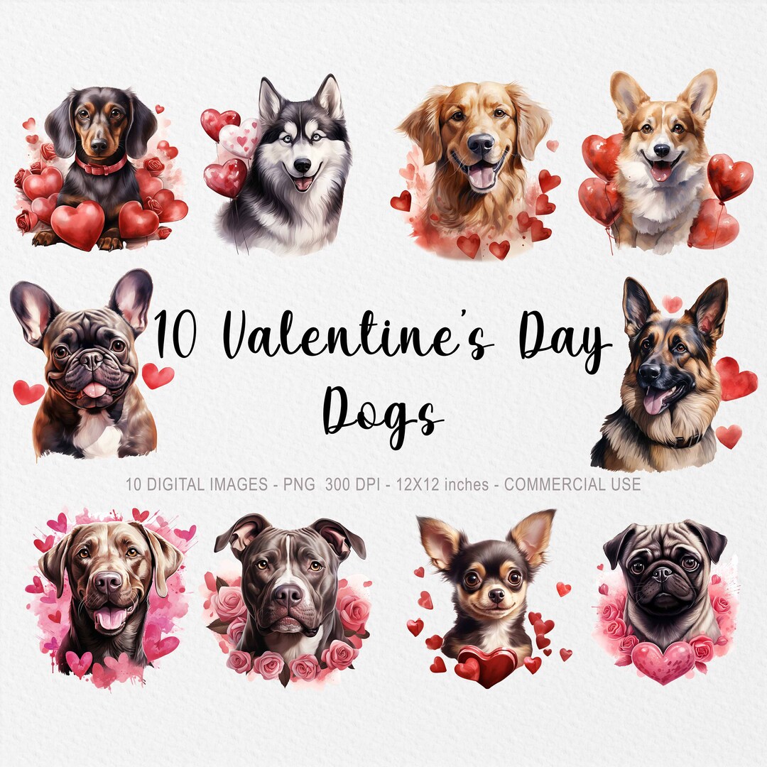 10 Valentine's Day Dogs Watercolor Cliparts, Romantic Dog PNG Images ...