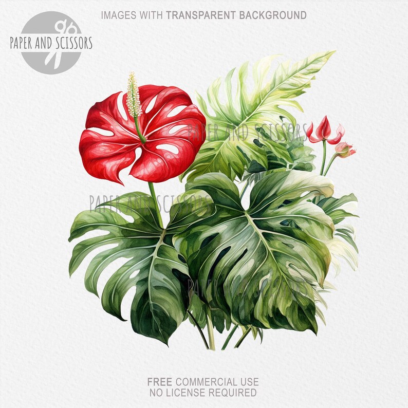 10 Tropical Cliparts, Watercolor Jungle Leaves PNG, Leaves Illustration ...