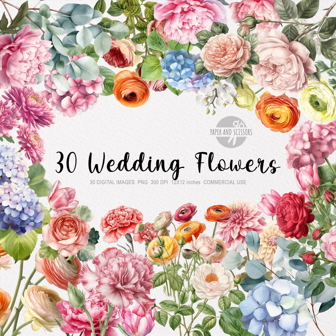 30 Wedding Flowers Clipart Roses Hydrangea Peonies - Etsy