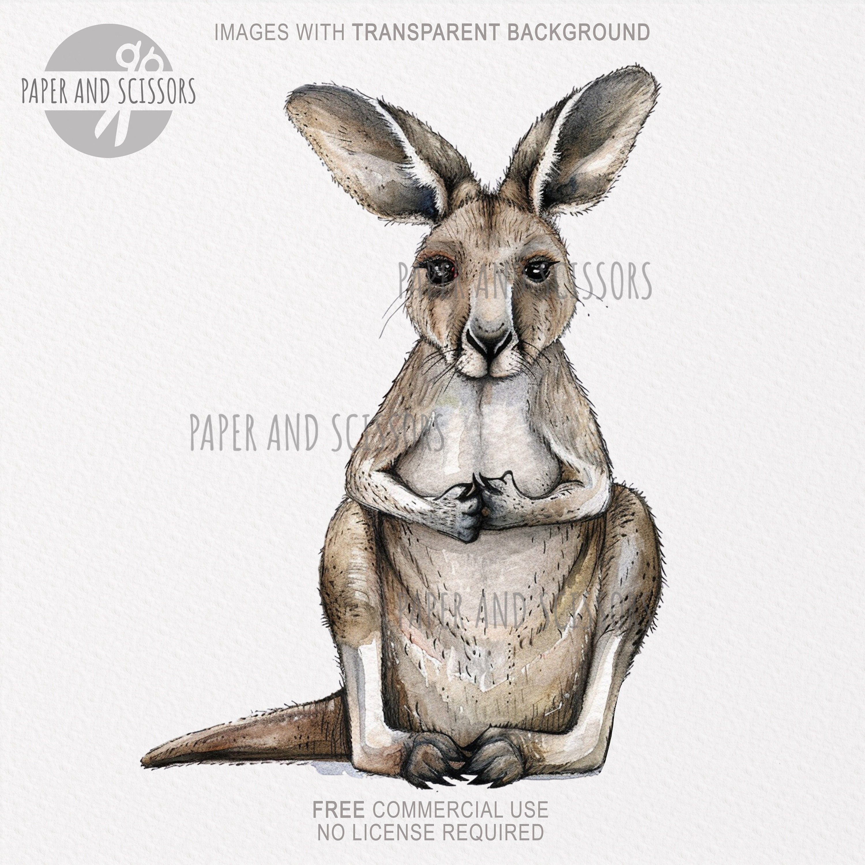 20 Australian Animals Cliparts, Desert Watercolor PNG, Baby Shower Wall ...
