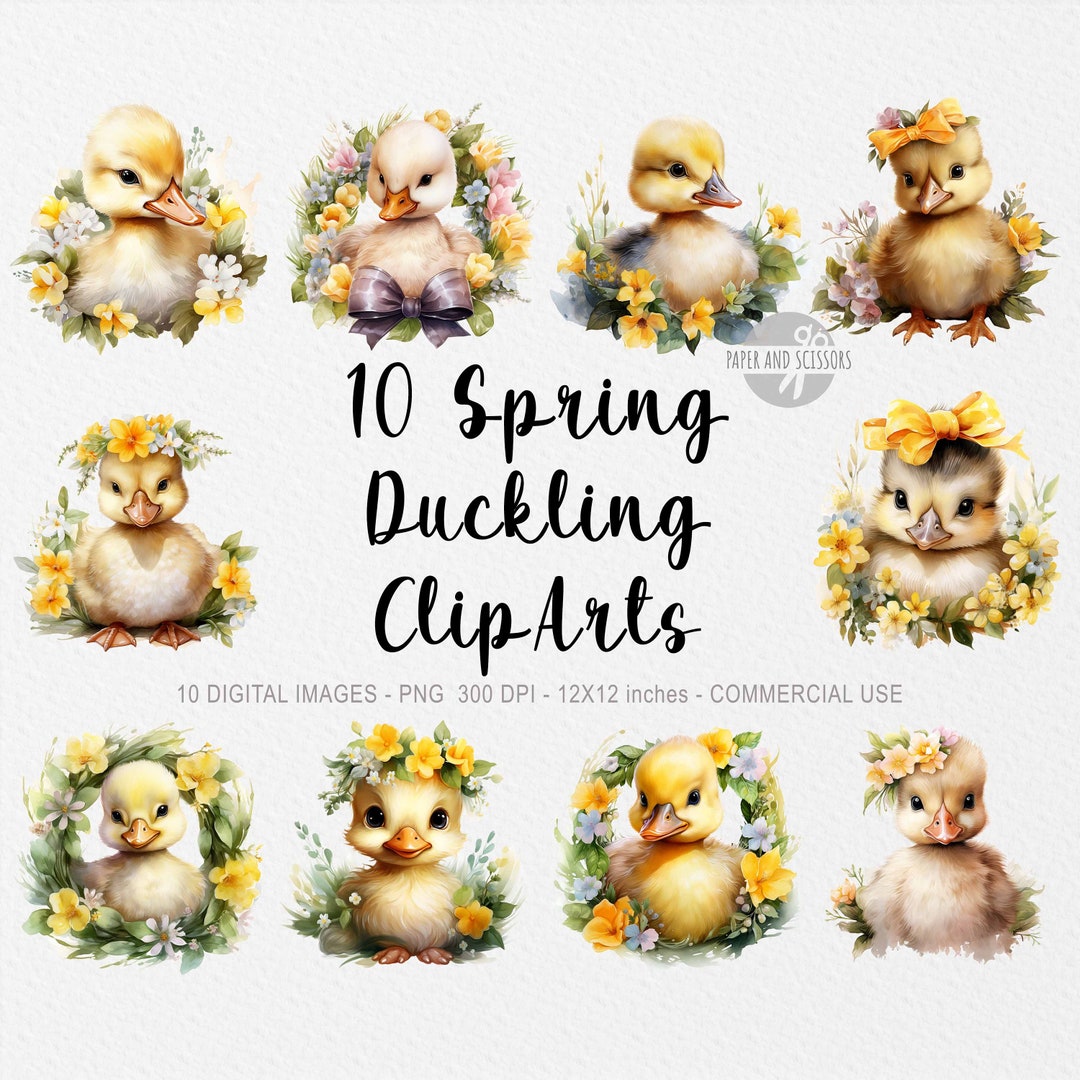 10 Spring Duckling Cliparts, Cute Duck PNG, Easter Illustration ...