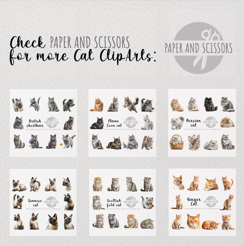British Shorthair Cat Clipart Cat PNG Cat Illustration Cat - Etsy