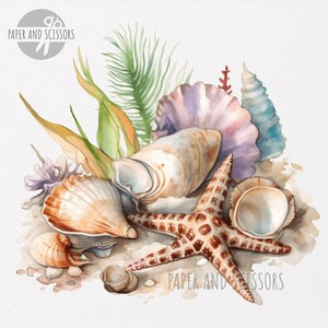 25 Summer Cliparts, Summer PNG, Beach Illustration, Watercolor Summer ...