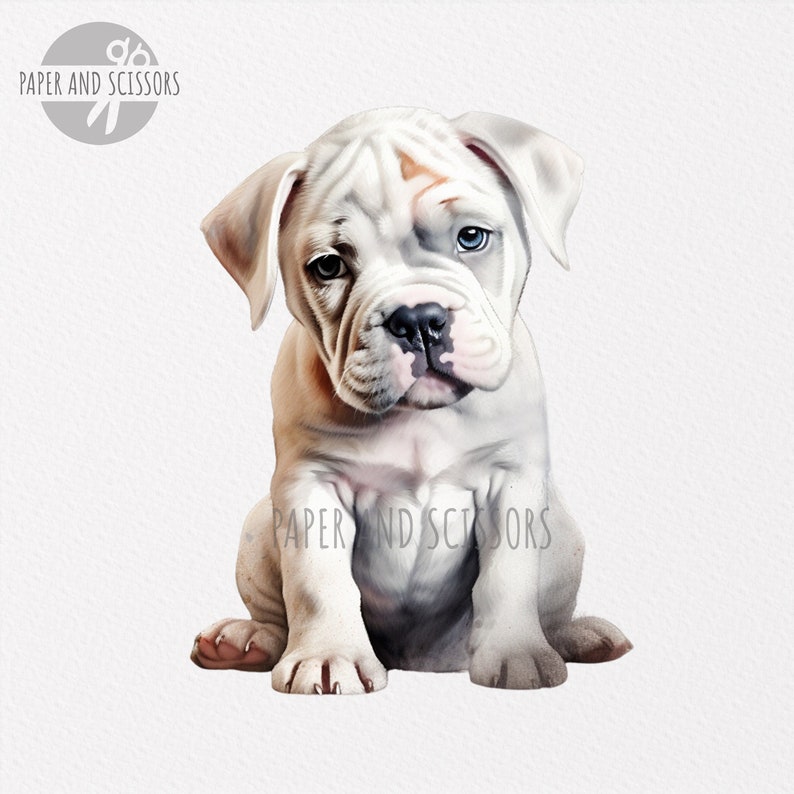 American Bulldog Clipart, American Bulldog PNG, American Bulldog ...