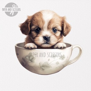 Puppies in Cups Clipart, Puppies PNG, Puppies Illustration, Dog Clipart ...