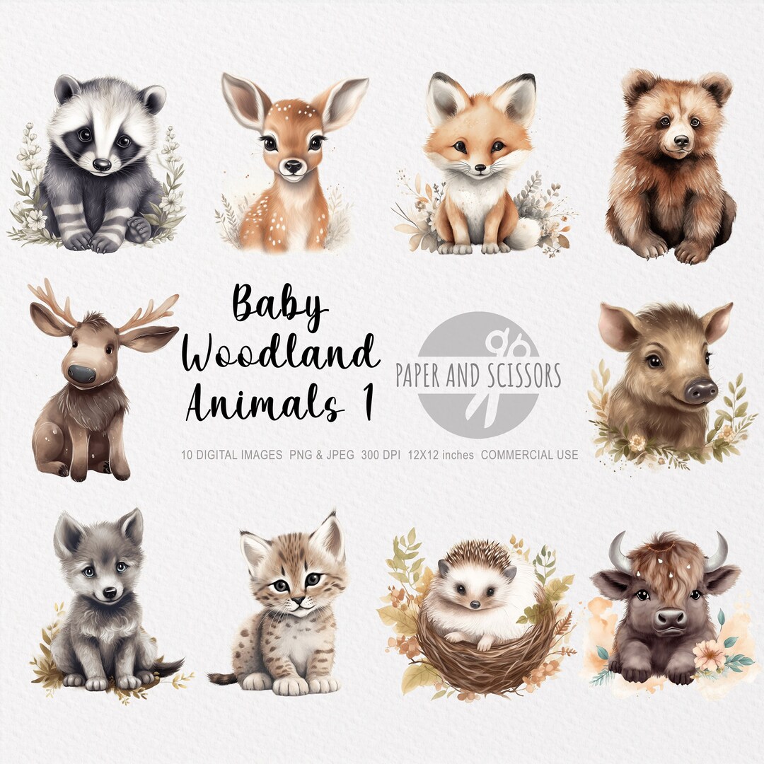 Baby Woodland Animals Clipart, Baby Woodland Animals PNG, Baby Animals ...