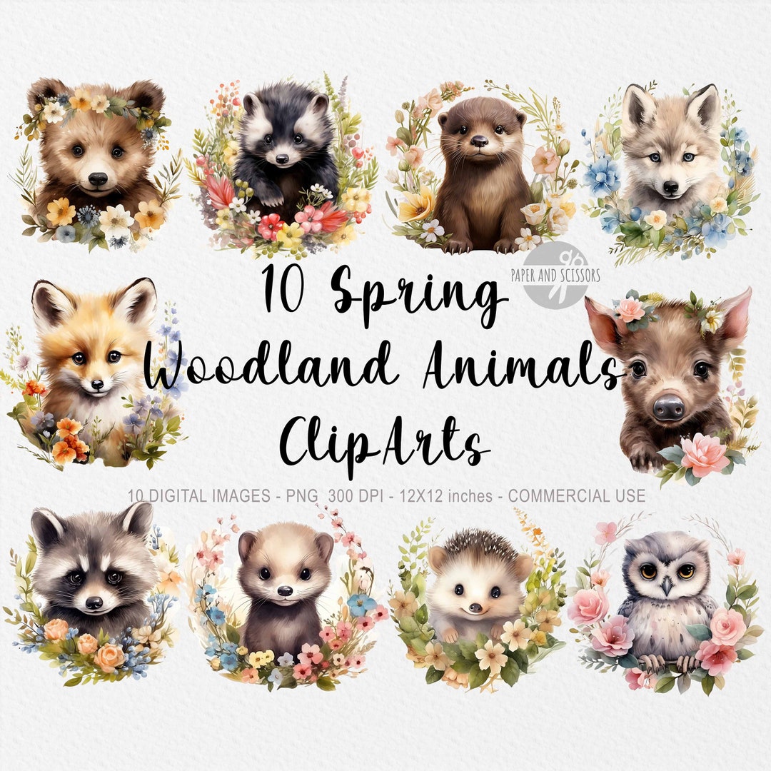10 Spring Woodland Animals Clipart, Baby Animals PNG, Woodland ...