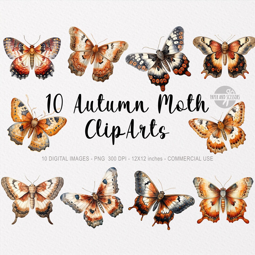 10 Autumn Moth Cliparts, Fall Mothpng, Hello Autumn Decor Illustration ...