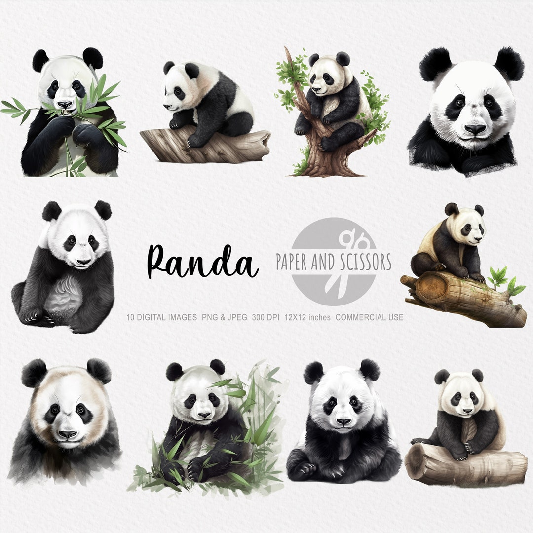 Panda Watercolor Clipart, Panda PNG, Panda Illustration, Panda Wall Art ...